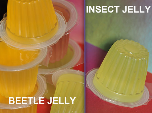 Supplies – Arthropods Canada